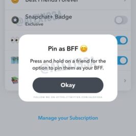 How to know if someone has snapchat plus (2025 guide)